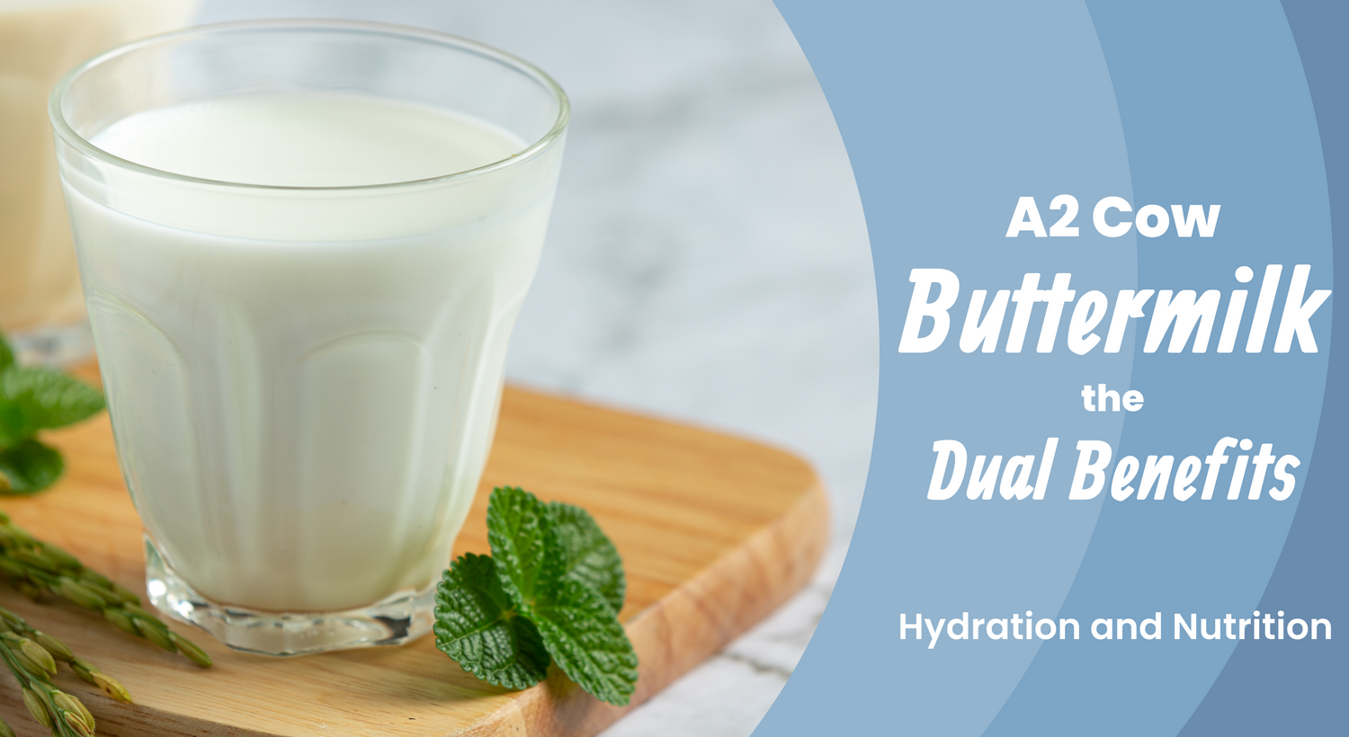 Hydration and Nutrition: The Dual Benefits of A2 Cow Buttermilk ...